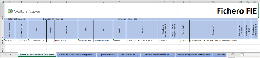 Cómo leer los ficheros FIE - Fichero INSS Empresa