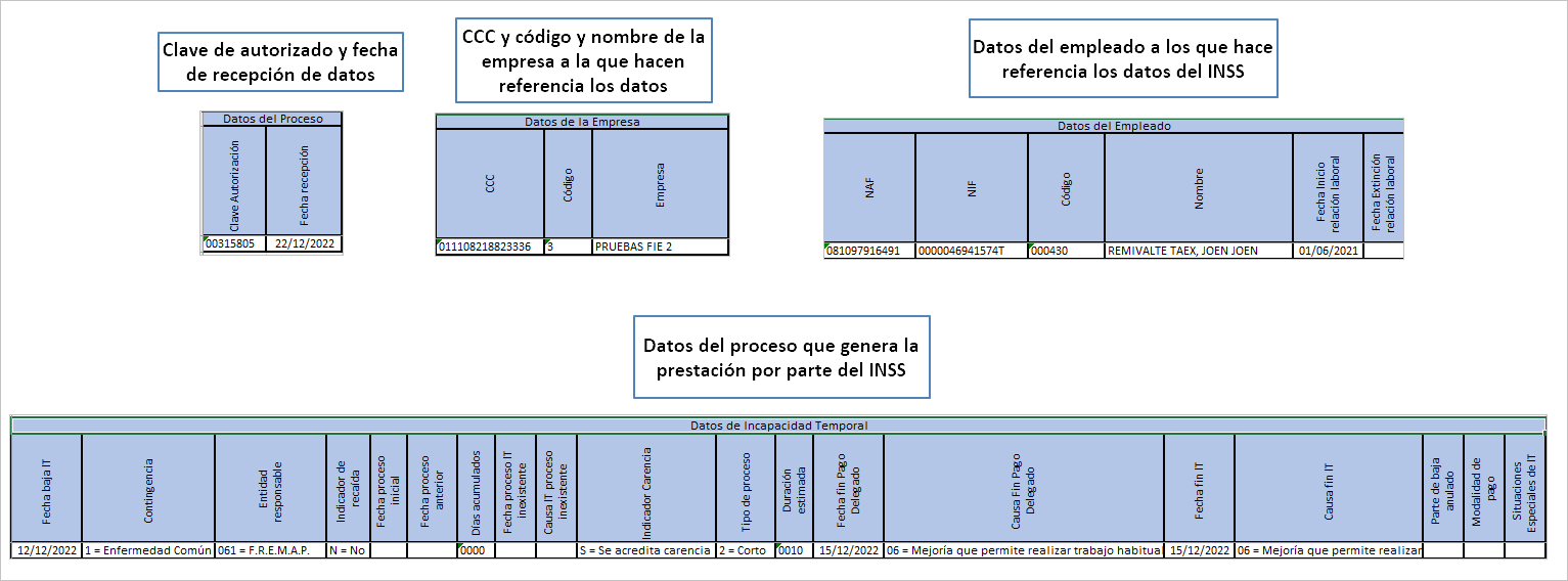 Cómo leer los ficheros FIE - Fichero INSS Empresa